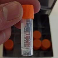 China Freezing test semen tube 2ml cryopreservation folder Other Accessories for artificial insemination for sale