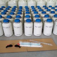 China veterinary 3/6l/30l storage dewar insemination kit YDS 10 L liquid nitrogen semen tank for sale