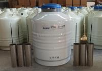 China IVF Laboratory chemistry YDS47-127/6 liquid nitrogen tank deep freezing for embryo cryopreservation for sale