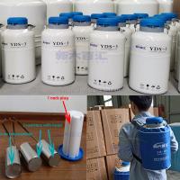 China Bull Semen Storage Tank Liquid Nitrogen Container 3L Cryogenic Flask for Medical Research for sale