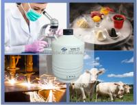 China 10L Liquid Nitrogen Container for Freezing Biological Strains Horse Semen and Vaccines for sale