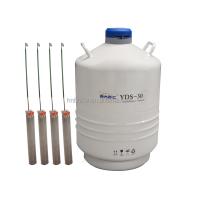 China YDS3080 empty liquid nitrogen cylinder bovine artificial insemination tank for sale