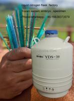 China High Capacity 3.6L Frozen Nitrogen Container for Breeding Stallion Semen Preservation for sale
