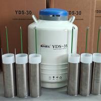 China farm dewar container cryogen YDS 30 liter frozen embryo tank for artificial insemination for sale