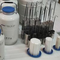 China veterinary YDS15 hold Semen cryo artificial insemination straw tank liquid container cow semen containers for sale