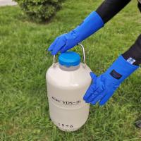 China Easy to Operate 11L Capacity Farm Angus Bull Sperm Tank Vacuum Semen Storage Container for sale