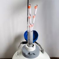 China Veterinary Embryo Pig Semen Frozen YDS 10 Liquid Nitrogen Storage Tank for 0.25ml Long Thin Straws for sale