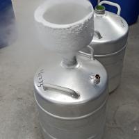 China 20L LN2 Container Perfect for Preserving Frozen Semen Samples in Optimal Conditions for sale