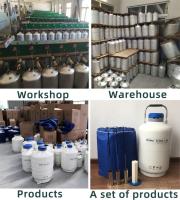 China Vertical 2L Dewar Tank for Dairy Farmers Yds2 Liter Semen Liquid Nitrogen Containers for sale