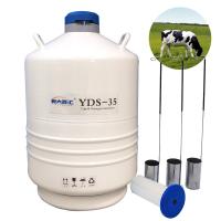 China YDS-35 80 cryogenic tank liquid nitrogen tank container Ln2 dewar for sale
