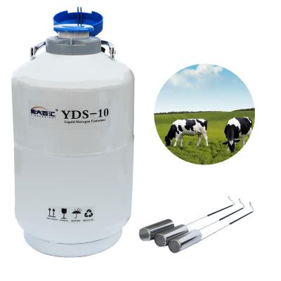 China Excellent 10 L liquid nitrogen thermos for transporting frozen semen baihui factory nitrogen Liquid  semen tank for sale