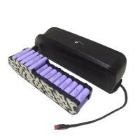 China Lithium Ion Hailong Ebike Battery Pack 36V 48V 10AH 13AH 15AH 18AH 20AH for sale