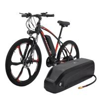 China 48V 10.4Ah Hailong Lithium Battery with Grade-A 18650 Cells for Electric Bicycle for sale