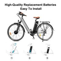 China 18650 Lithium Ion Silverfish Ebike Battery Rechargeable 36v 48v 13ah 15.6ah for sale