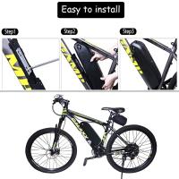 China Custom 48V 20Ah Hailong Ebike Battery for 1000W Motor with Customizable Options for sale