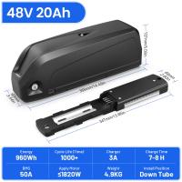China Custom 48V 20Ah Hailong Ebike Battery for 1000W Motor with Customizable Options for sale