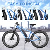 China 48V 15.6Ah Down Tube Hailong Ebike Lithium Battery with Integrated BMS and 18650 Cells for sale