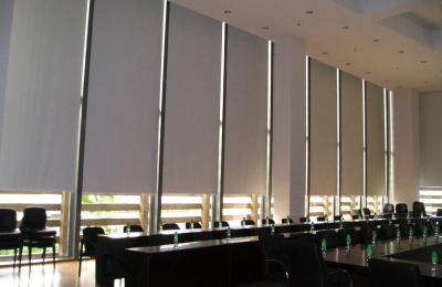 China Blackout Custom Electric Blinds Internal Remote Control Architectural Building Shade for sale