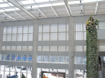 China Optional Size Custom Electric Blinds Manual Electric Battery Control Durable for sale