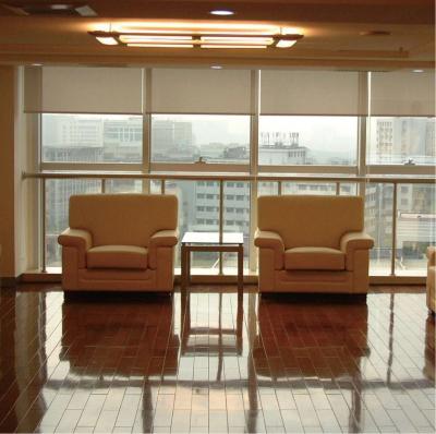 China Semi Blackout Custom Electric Blinds Shades System Residential Living Room for sale