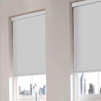 China Window Decoration Waterproof Roller Blinds Motorized Roller Blind Eco - Friendly for sale