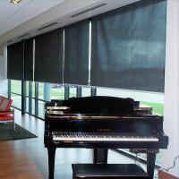 China Window Decoration Waterproof Roller Blinds Motorized Roller Blind Eco - Friendly for sale