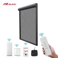 China Motorized Outdoor Windproof Zip Track Electric Motorized Roller Blinds for sale