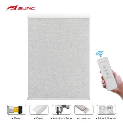 China Motorized Outdoor Roller Blinds Sunshade With Bottom Rail for sale
