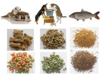 China 3000 KG Fish Feed Extruder Made of Stainless Steel 201 304 for Enhanced Feed Conversion for sale