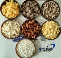 China Corn Flakes Puffing Snack Food Production Line Extruder Making Machine In Food for sale