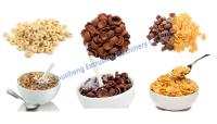 China 200-250kg/h Capacity Snack Food Making Machine for Breakfast Cereal Corn Flakes Puff in Food for sale