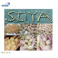 China Customization Small Capacity Textured Food Soyabean Protein Bar Production Line for Food for sale