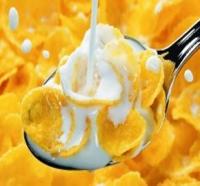 China Multifunctional Extruder Corn Maize Flakes Breakfast Cereals Machine Production Line for sale