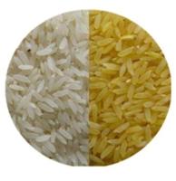 China High Automation Twin Screw Fortified Rice Processing Machine 100kg/h-900kg/h Condition for sale