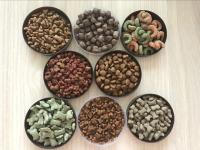 China Dry Animal Fish Pet Food Snack Pellet Extruding Machine Line for Fish Food Production for sale