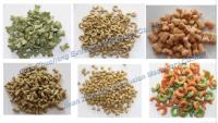 China Twin Screw Extruder Pet Food Drying Equipment Processing Line for Customer Requirements for sale