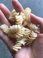 China Food Grade Stainless Steel Macaroni Pasta Making Machine to Satisfy Clients' Needs for sale