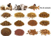 China Electricity Energy Large Capacity Pet Food Making Equipment for Dog Fish Cat in Food Beverage Shops for sale