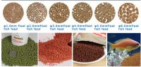 China Durable Food Grade Stainless Steel Fish Feed Pellet Making Machine for Small Pet Food for sale