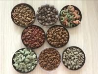 China Pet Food Production Extruder with Easy Operation and Large Capacity Twin Screw Texture for sale