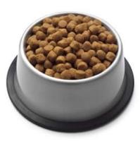 China Multifunctional Dry Kibble Pet Food Extrusion Equipment for Food and Beverage Plants for sale