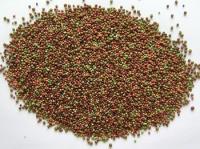 China 35kw Capacity Dry Pet Dog Food Floating Fish Feed Pellet Extruding Maker for Fish Farming for sale