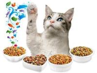 China Fully Automatic Dry Animal Fish Pet Food Production Extruding Machine with Gas Energy for sale