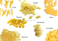 China Multi-Function Commercial Macaroni Pasta Production Line with Noodle Making Machine for sale