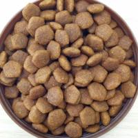 China Small Dry Pedigree Dog Food Pellet Extrusion Equipment with Delta Inverter Technology for sale