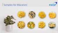 China Automatic Pasta and Macaroni Manufacturing Machine with CE Certification Full Automatic for sale
