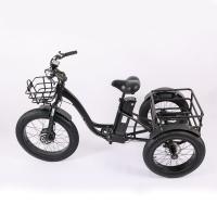 China High Capacity Family Cargo E-Bike 48V 20Ah with Torque 80-90 Nm and 7 Speed Gears for sale