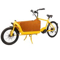 China Drop Ship City Tricycle with Rainproof Front Wooden Box 36V 250W Lithium Battery for sale