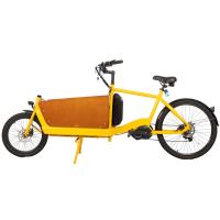 China Drop Ship City Tricycle with Rainproof Front Wooden Box 36V 250W Lithium Battery for sale