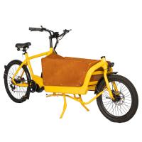 China Drop Ship City Tricycle with Rainproof Front Wooden Box 36V 250W Lithium Battery for sale